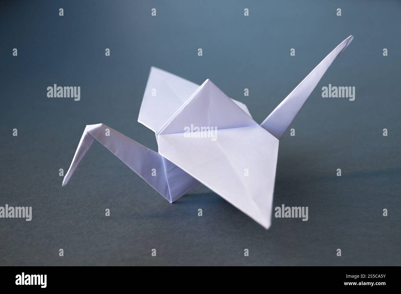 White paper crane origami isolated on a blank grey background. White ...