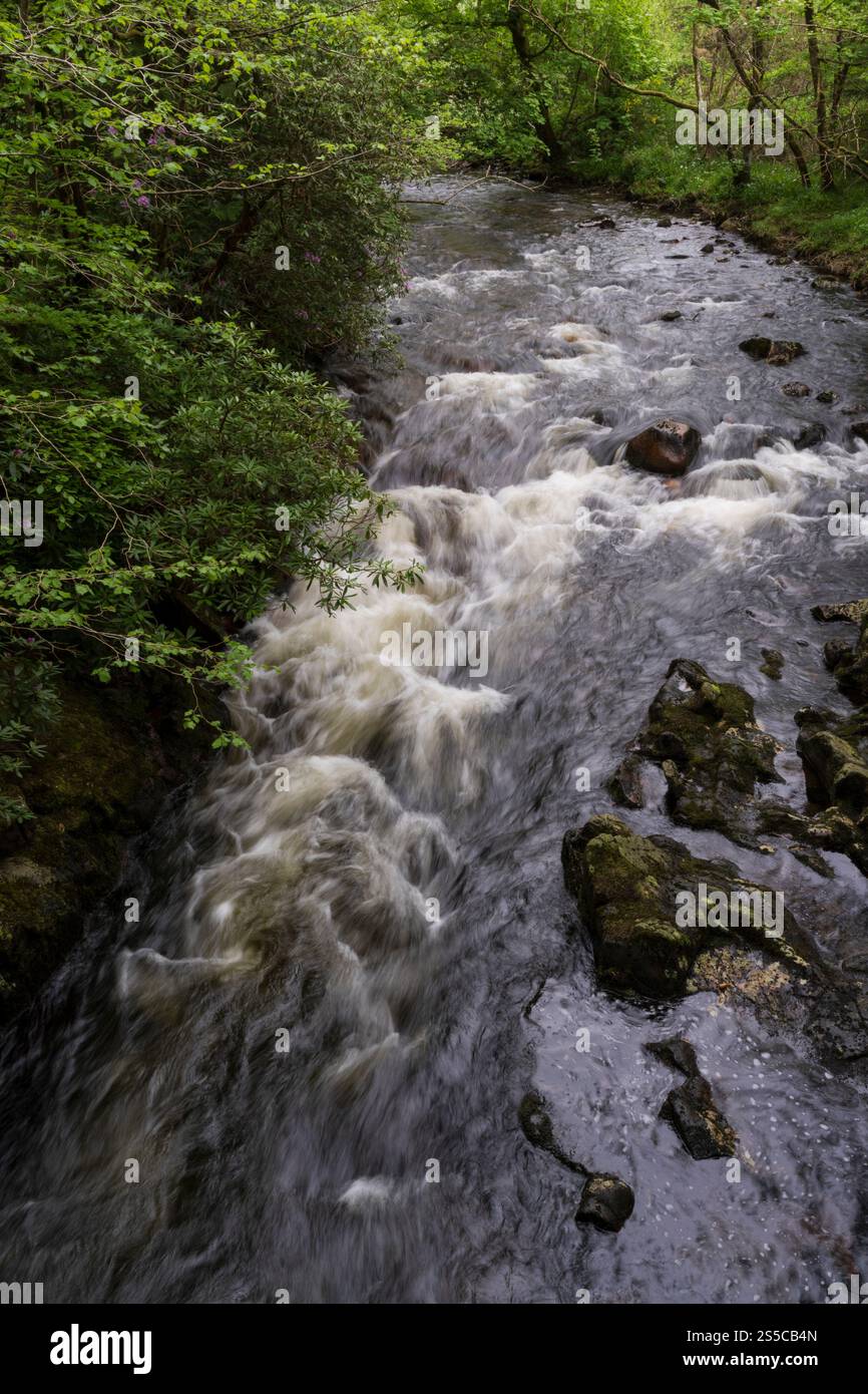 Stanley Ghyll, Eskdale, Cumbria Lake District UK - steep wooded ravine ...