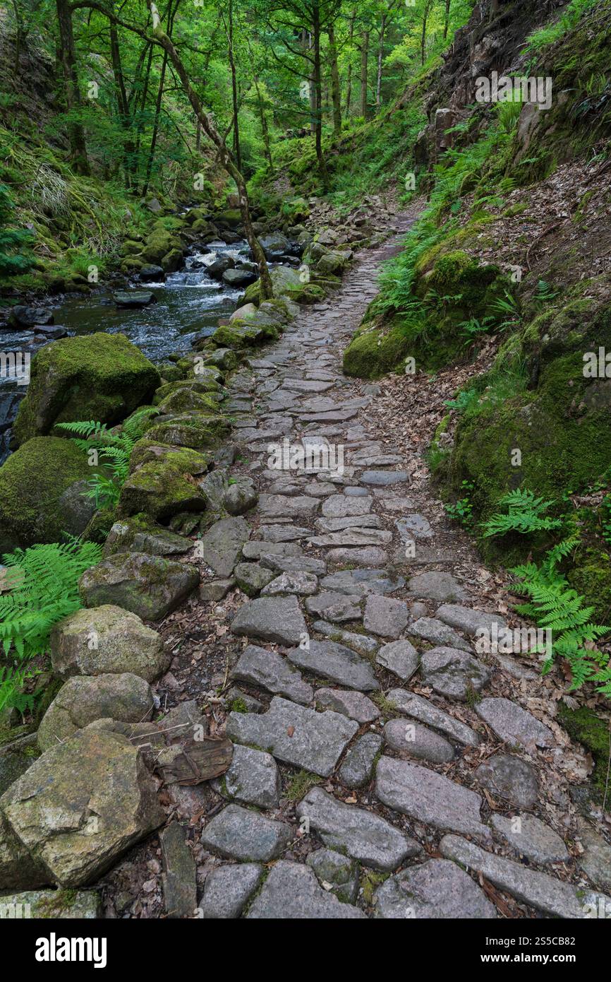 Stanley Ghyll, Eskdale, Cumbria Lake District UK - steep wooded ravine ...