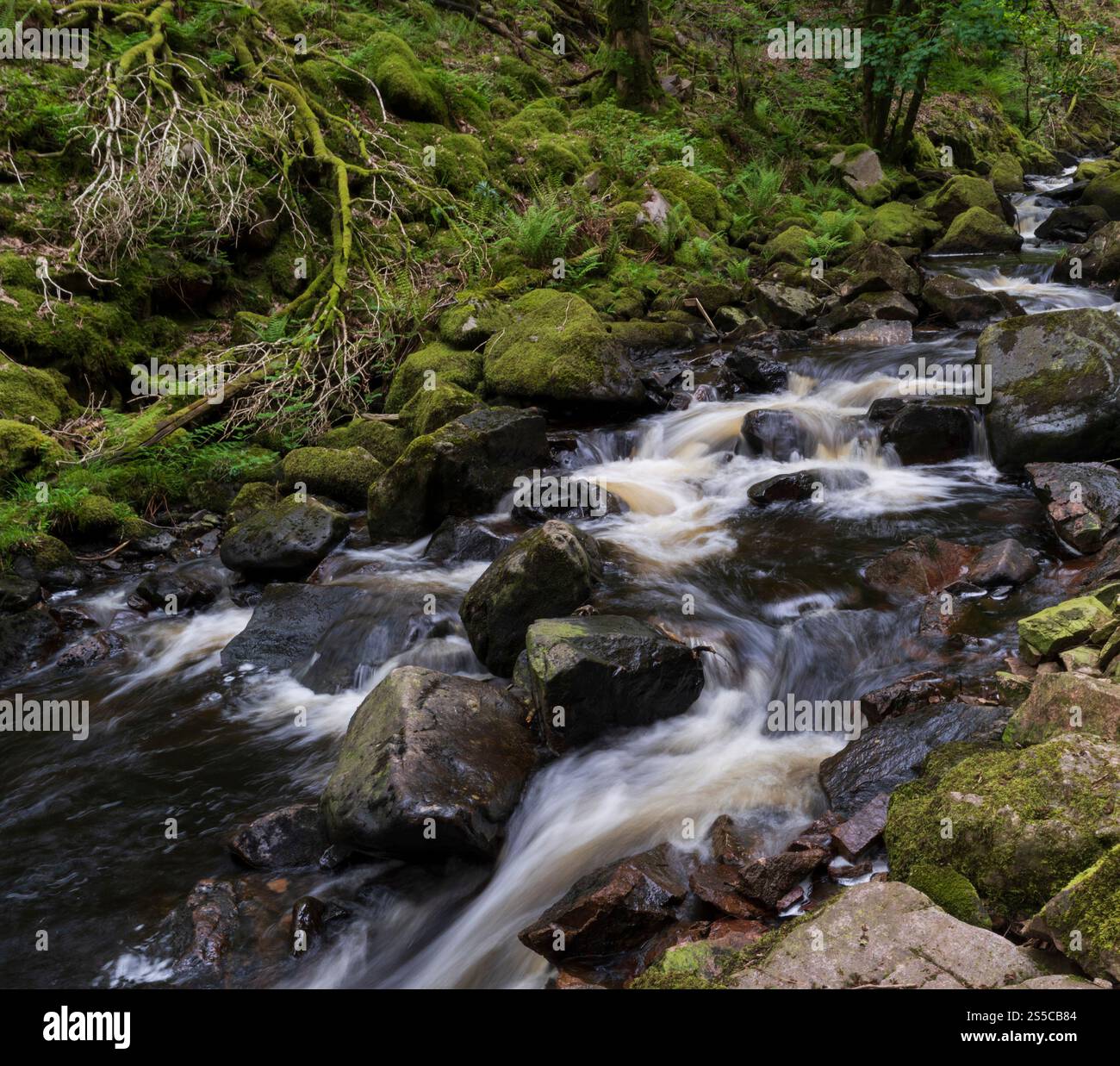 Stanley Ghyll, Eskdale, Cumbria Lake District UK - steep wooded ravine ...