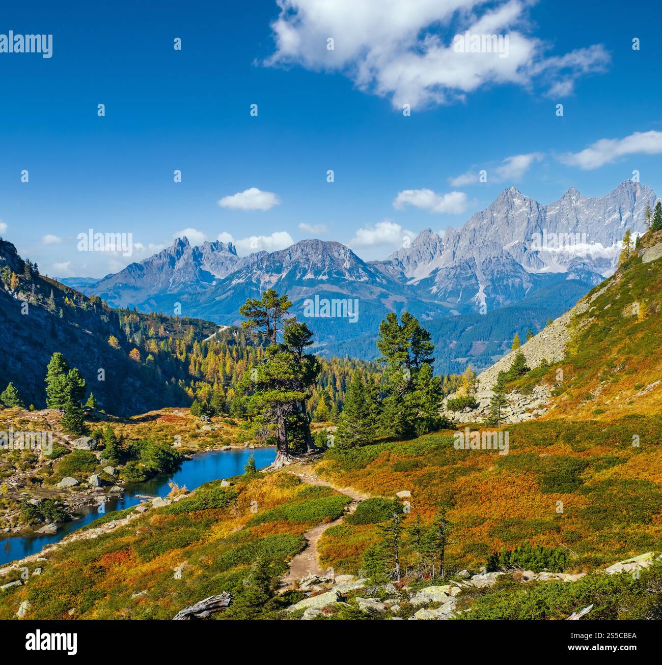Aerial view beautiful alpine lake hi-res stock photography and images ...