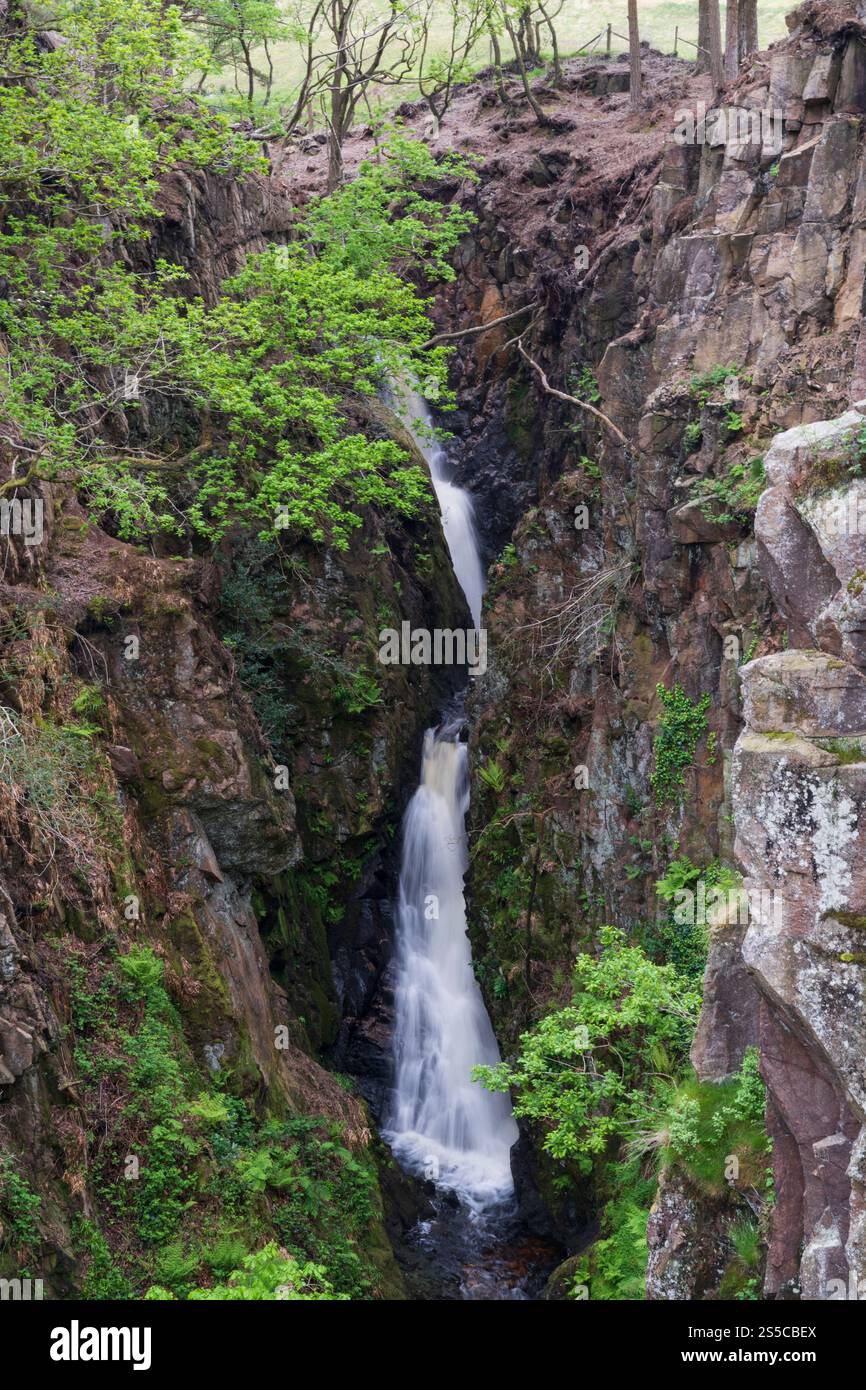 Stanley Ghyll, Eskdale, Cumbria Lake District UK - steep wooded ravine ...