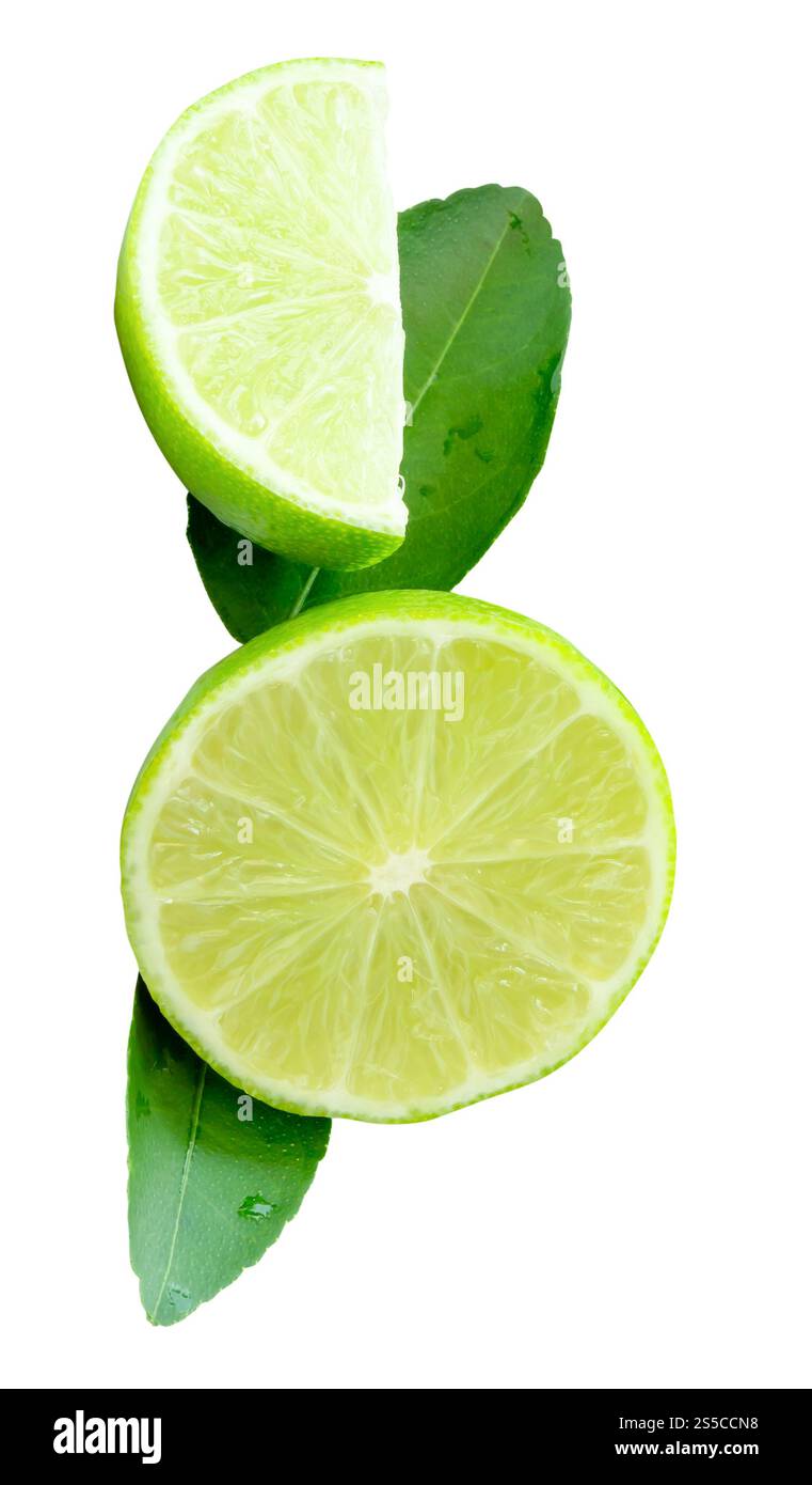 Top view of fresh green lemon fruit in half and quarter or piece with green leaves in stack is ...
