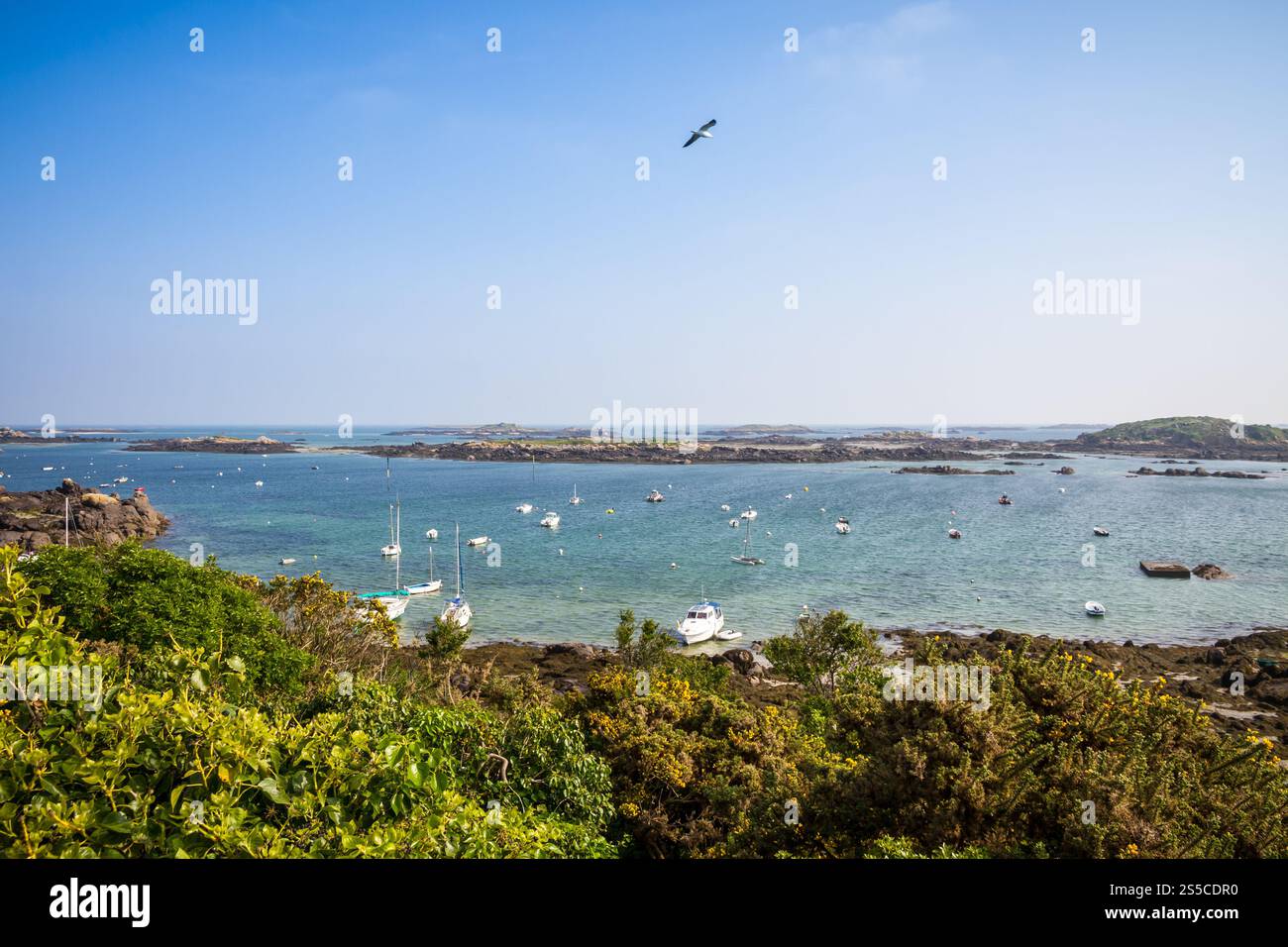 Chausey island coast and cliffs landscape in Brittany, France. Chausey ...
