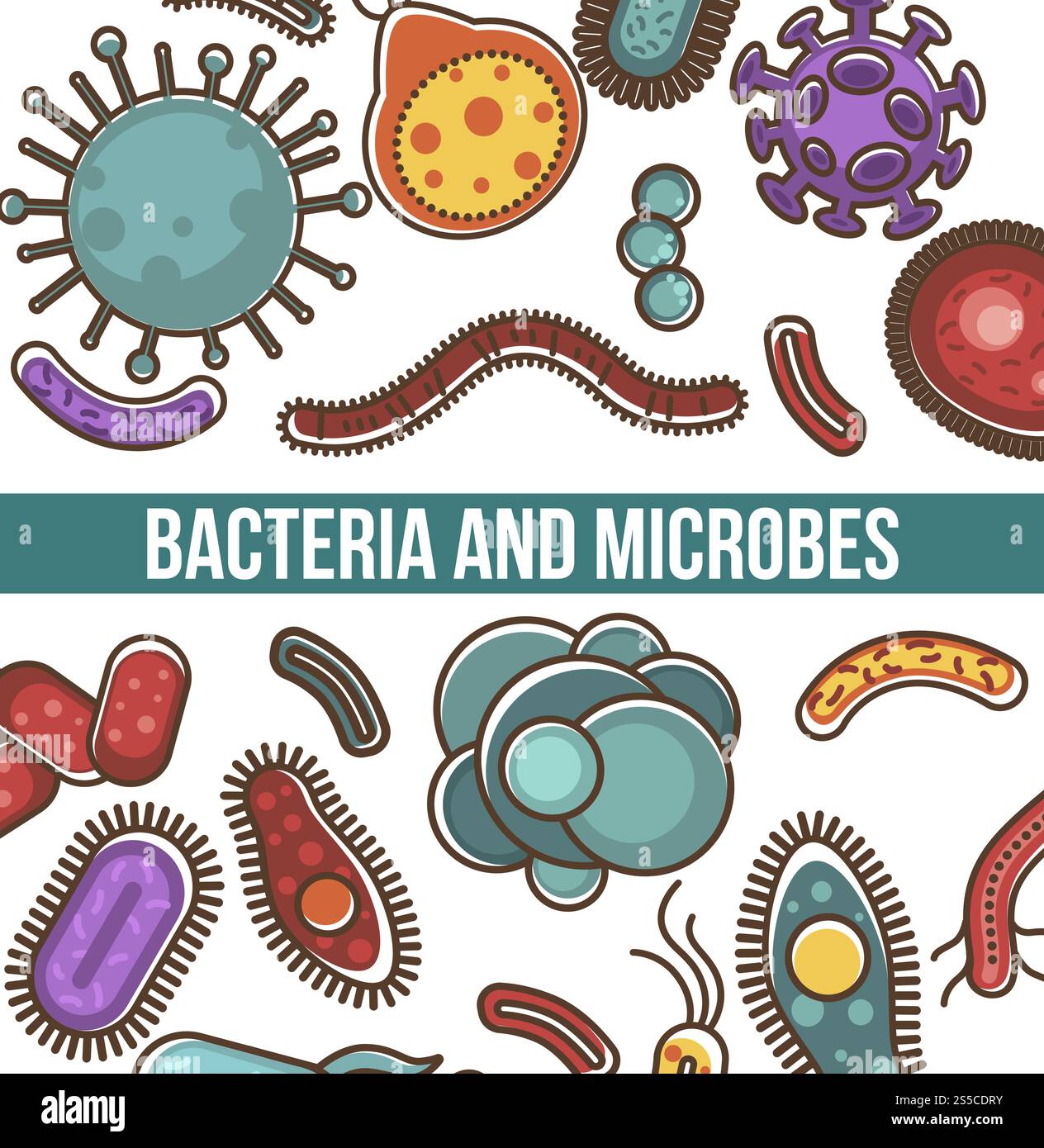 Bacteria and microbes poster with text sample and organisms vector ...