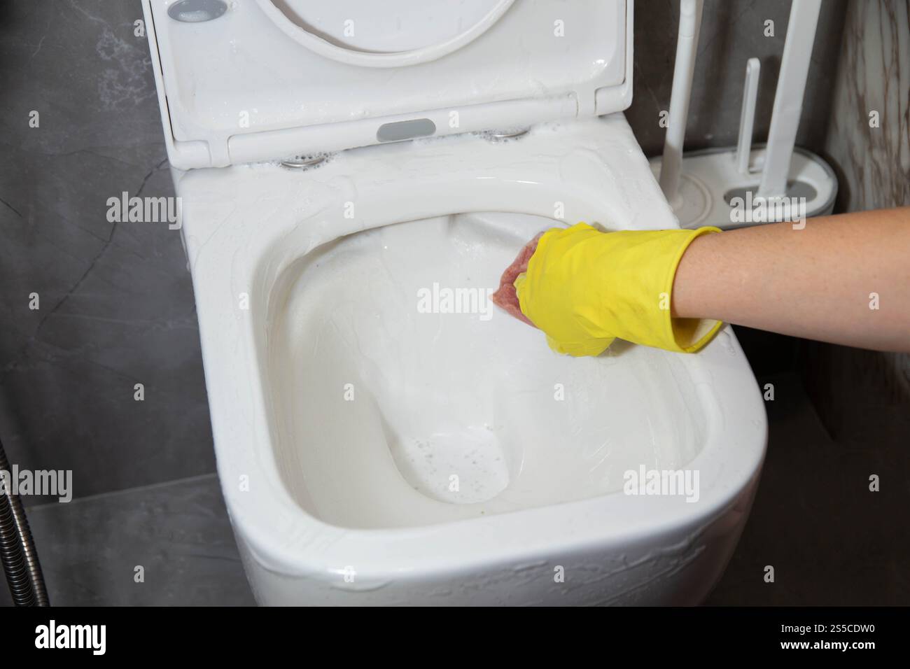 Cleaning, washing and wiping the toilet bowl and brushes with a sponge ...