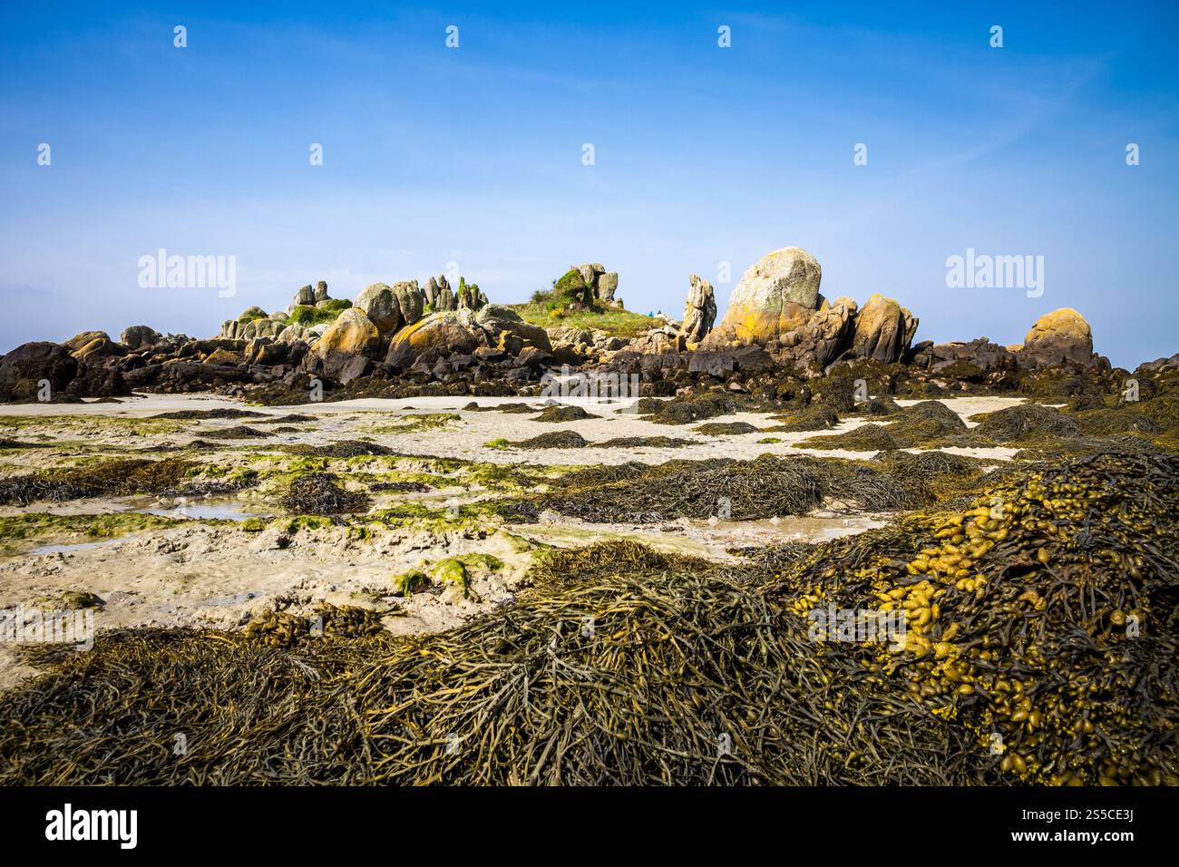 Chausey island coast and cliffs landscape in Brittany, France. Chausey ...