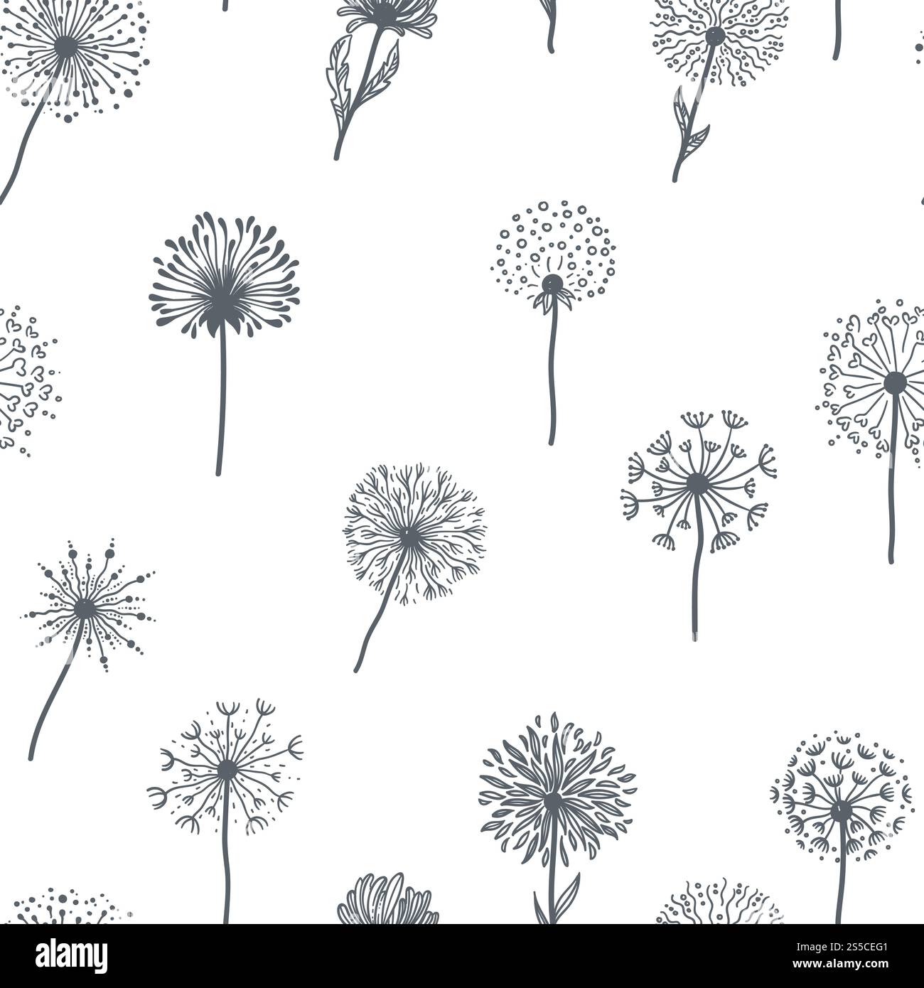 Dandelion old plant with seeds, monochrome sketches outline, seamless ...