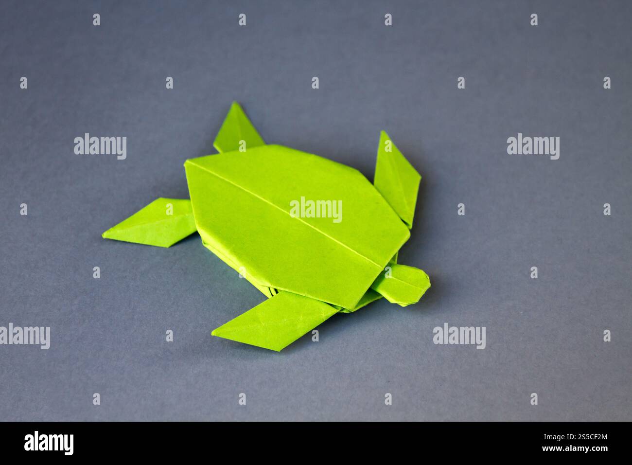 Green paper turtle origami isolated on a blank grey background. Green ...