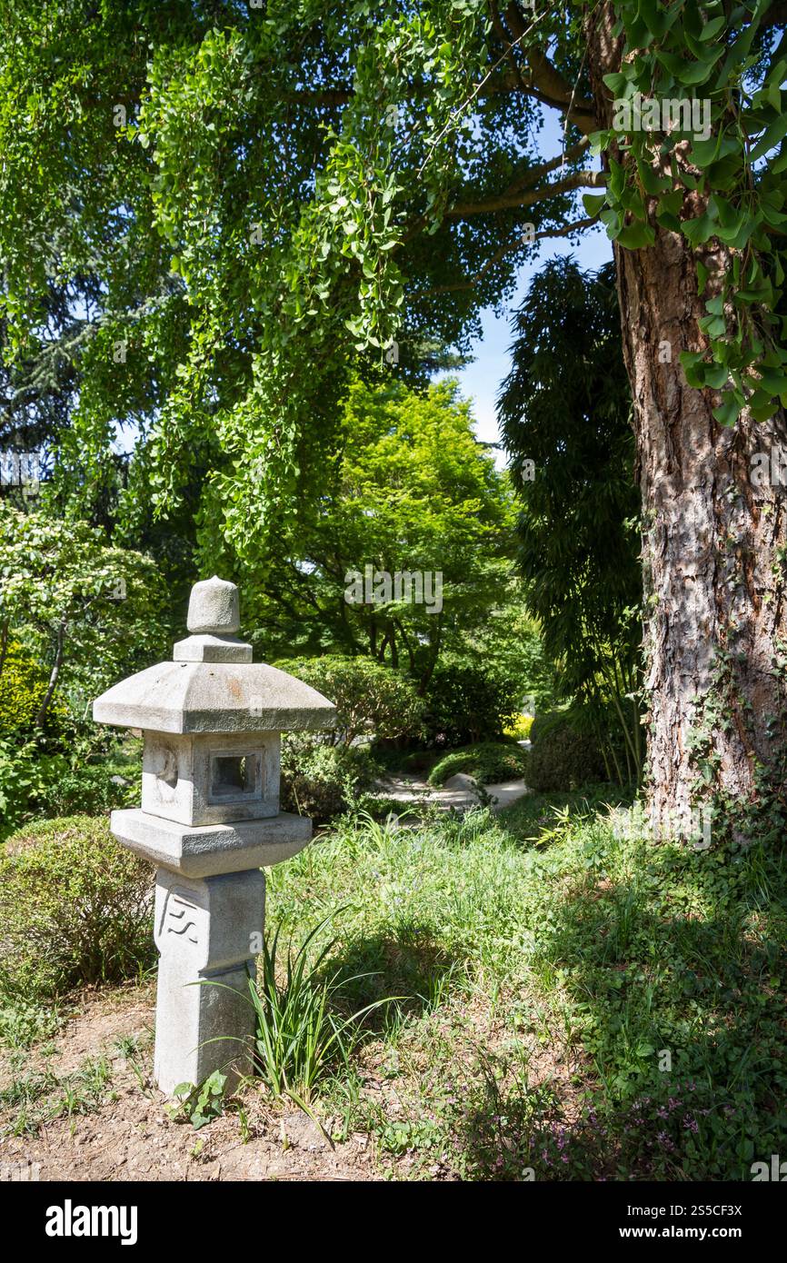 Traditional lamp in a japanese garden. Zen background. Stone lamp in a ...