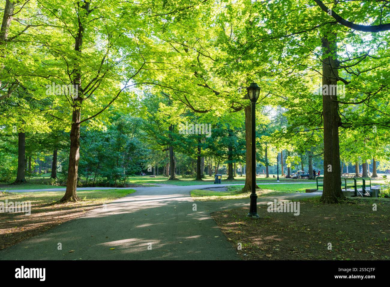 Lake in the centre of the Angrignon Park in summer time. Montreal ...