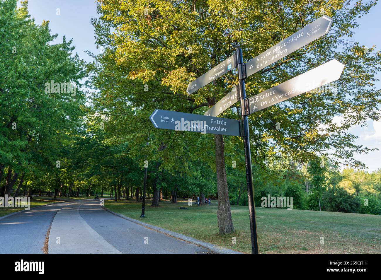 Angrignon Park walking trail in summer time. Montreal, Quebec, Canada ...