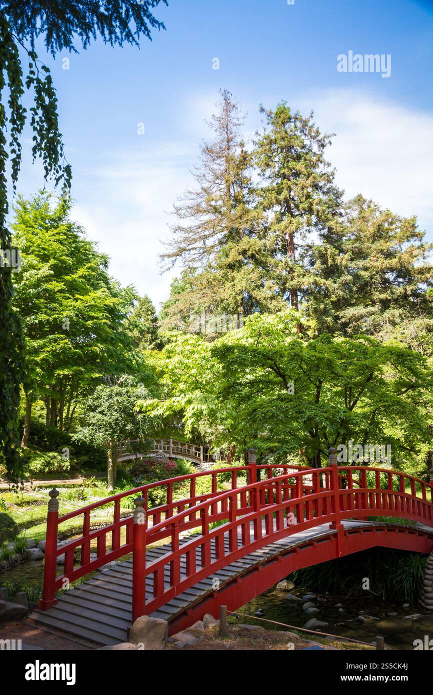 Traditional red wooden bridge on a japanese garden pond. Zen background ...