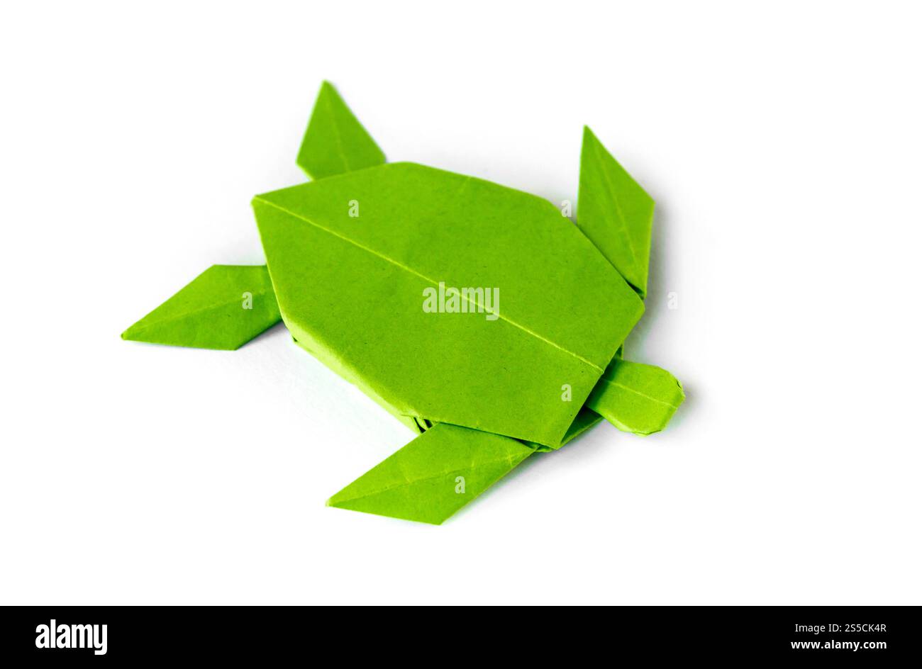 Green paper turtle origami isolated on a blank white background. Green ...
