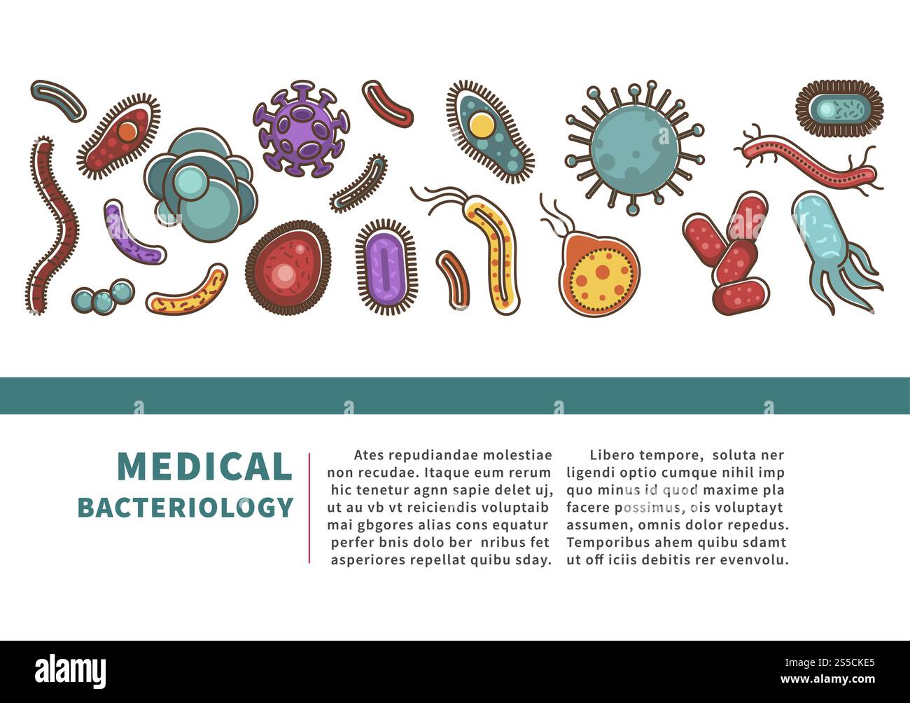Viruses and bacteria information poster for medical healthcare ...
