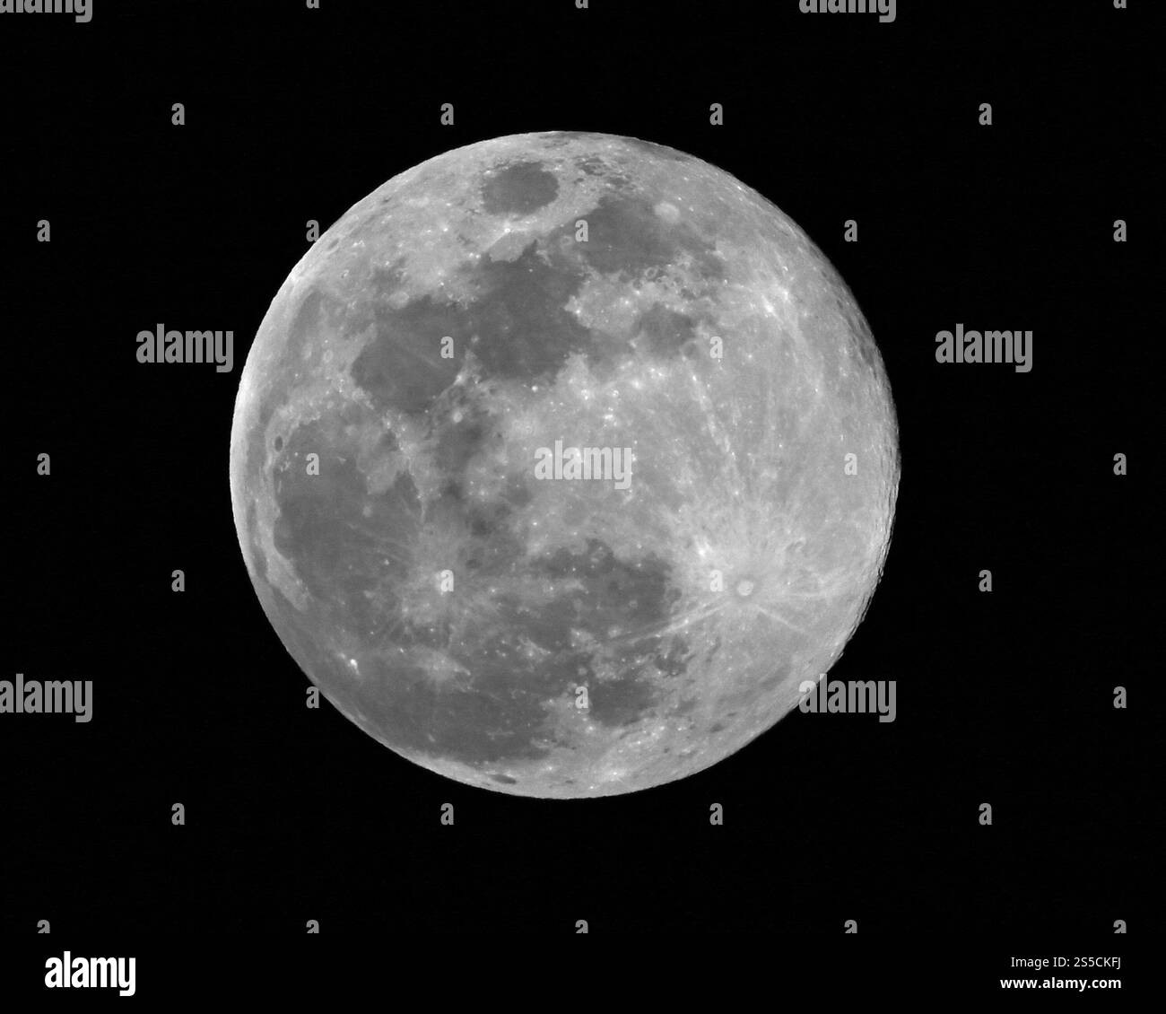 2025 punch Black and White Stock Photos & Images - Alamy