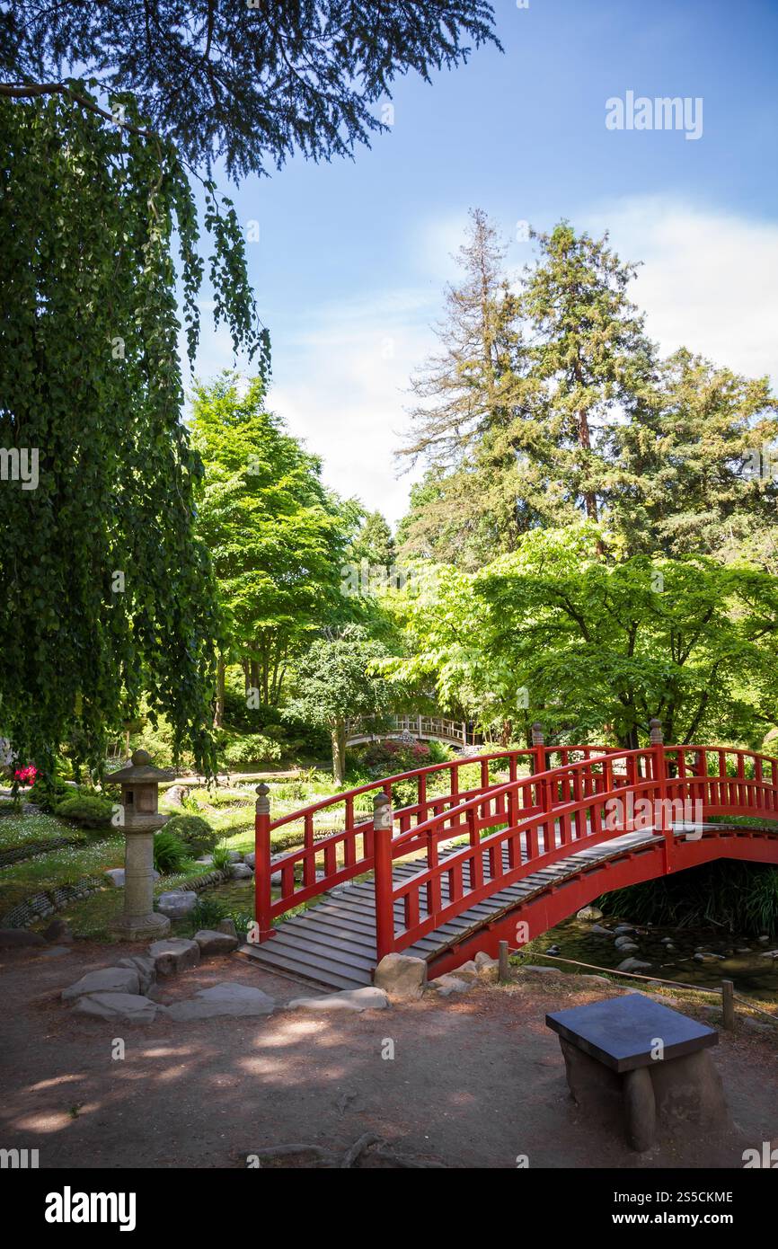 Traditional red wooden bridge on a japanese garden pond. Zen background ...