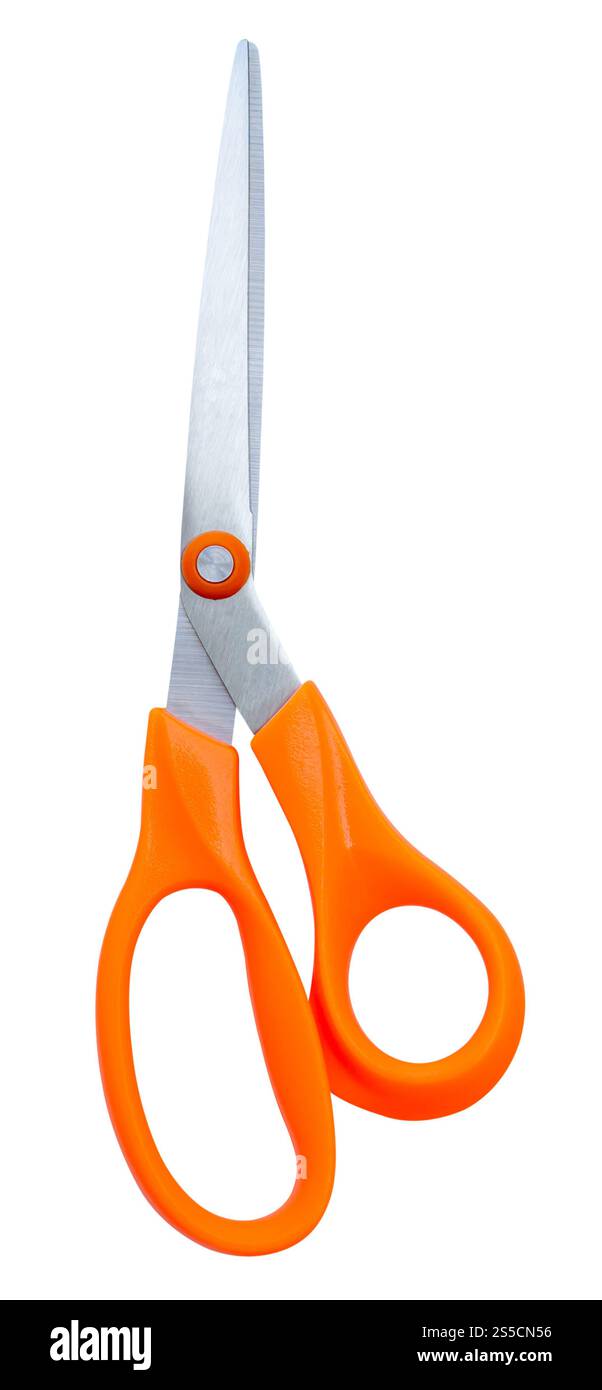 Medium multipurpose scissors with orange handle in vertical is isolated ...