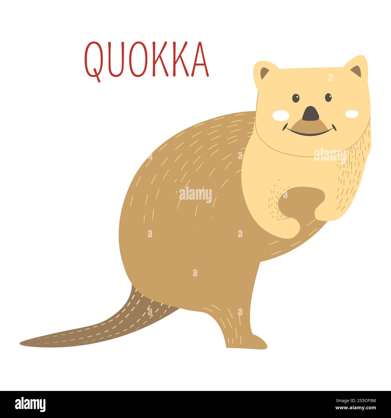 Quokka animal from Australia for childish book. Wild mammal as cartoon ...