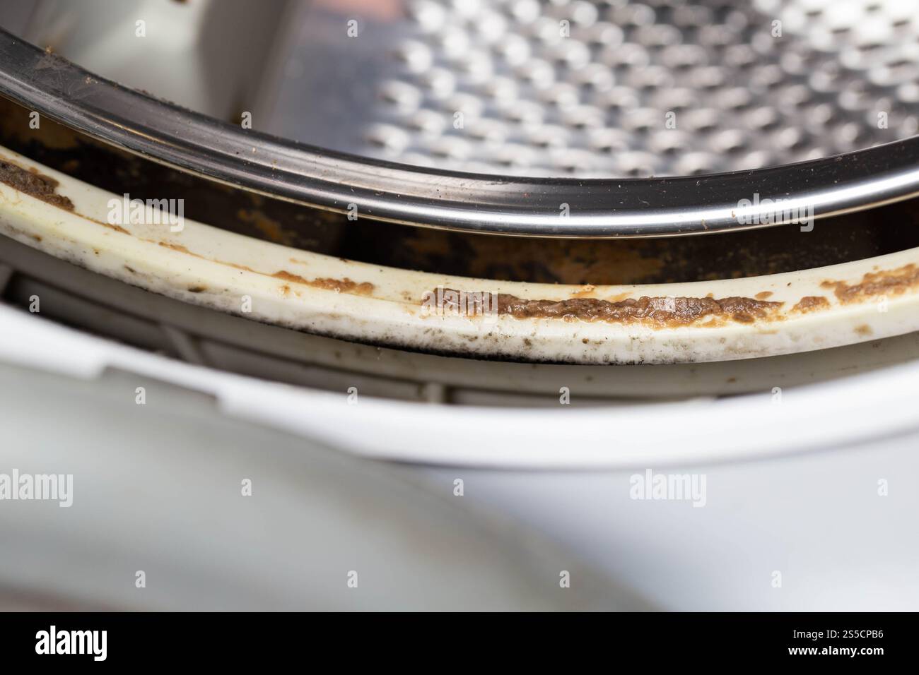 Dirt, mildew and mold in the hatch seals of the washing machine ...
