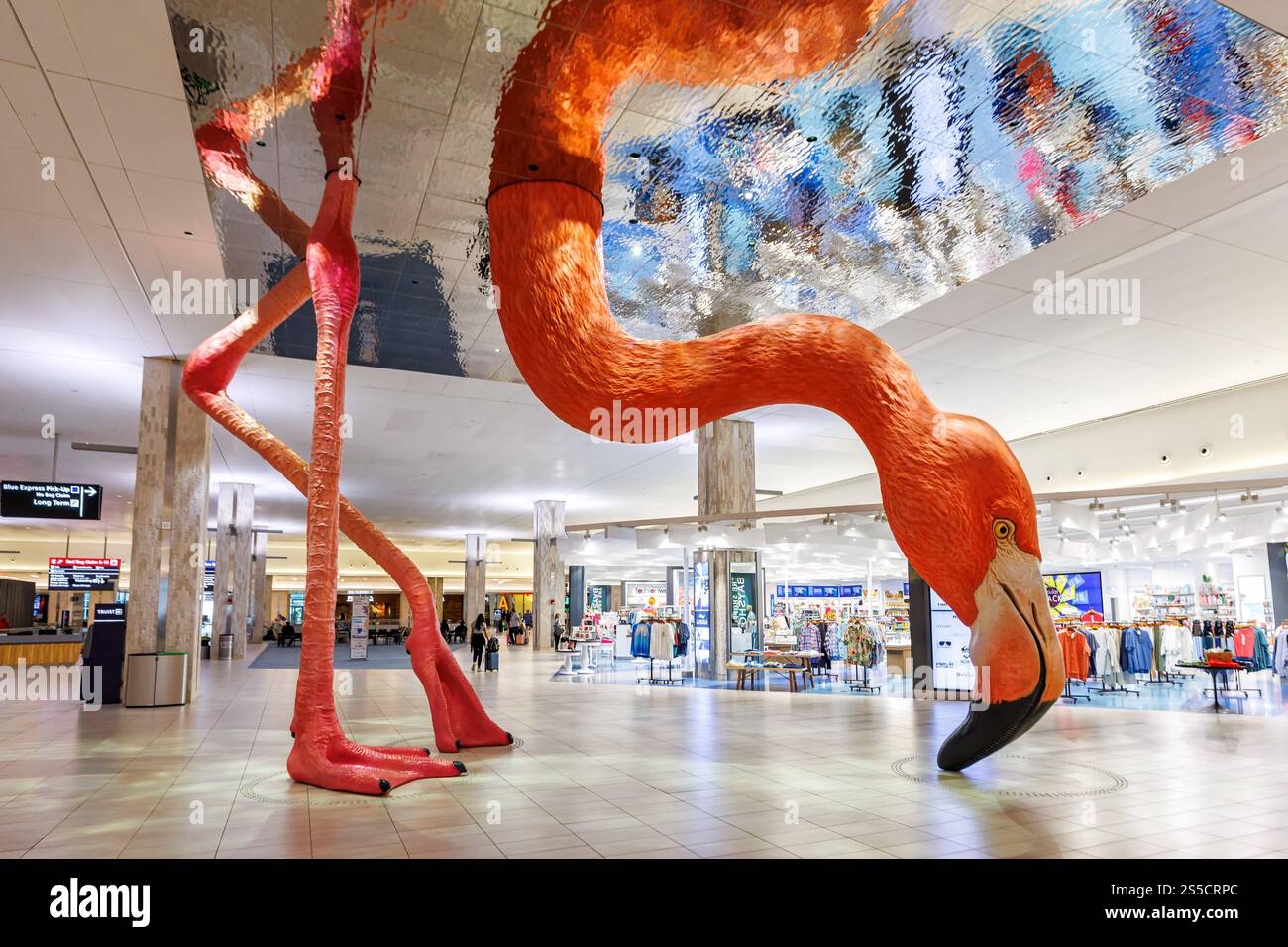 Flughafen Terminal in Tampa, Vereinigte Staaten von Amerika Tampa, USA ...