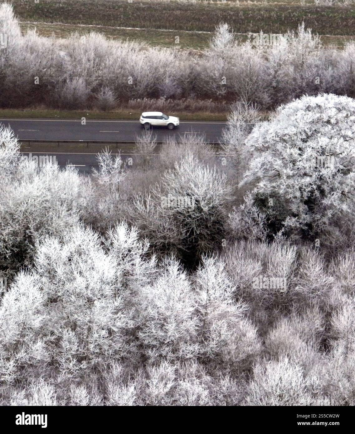 Peterborough, UK. 12th Jan, 2025. It looks like a winter wonderland in ...