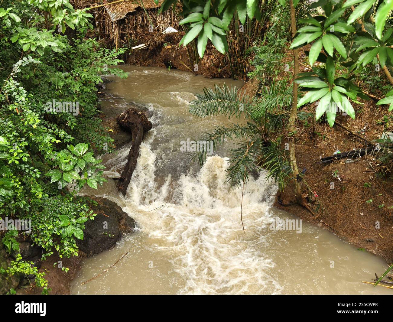 Scenic mountain stream rushing hi-res stock photography and images - Alamy