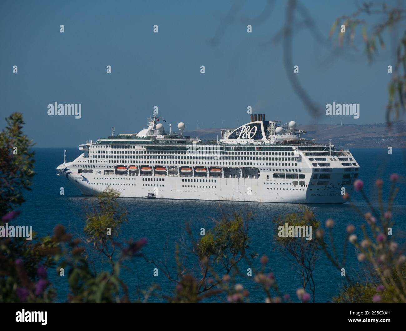 P And O Pacific Explorer cruise ship framed by vegetation in Penneshaw ...