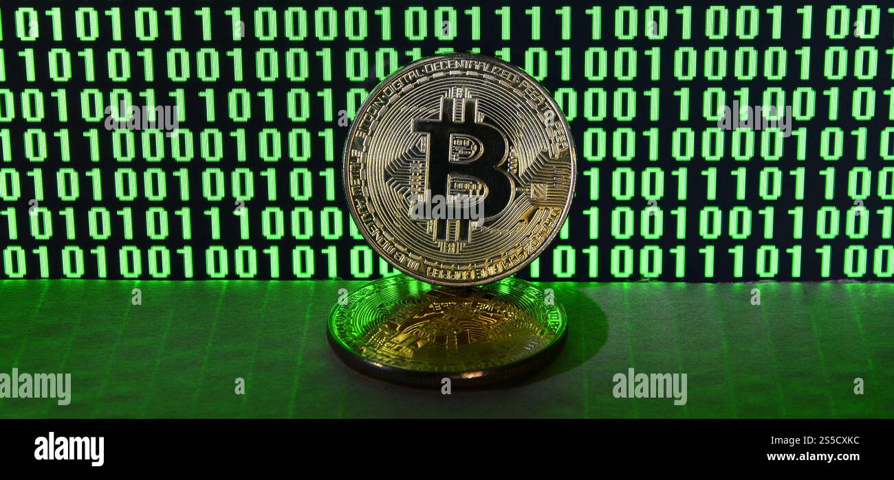A pair of bitcoins lies on a cardboard surface on the background of a monitor depicting a binary ...