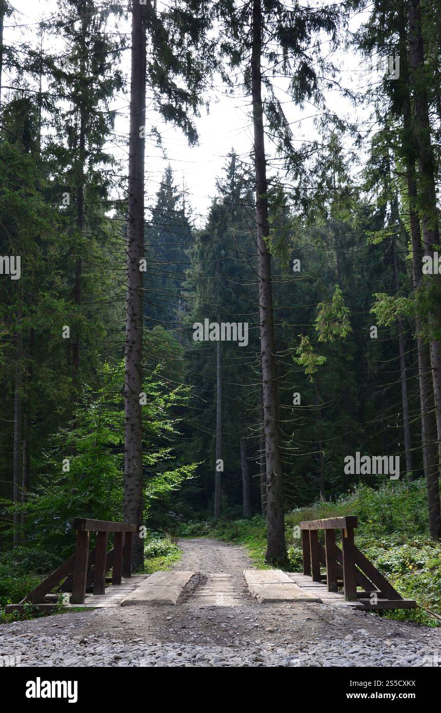 A small short bridge across the river for driving cars in the middle of ...