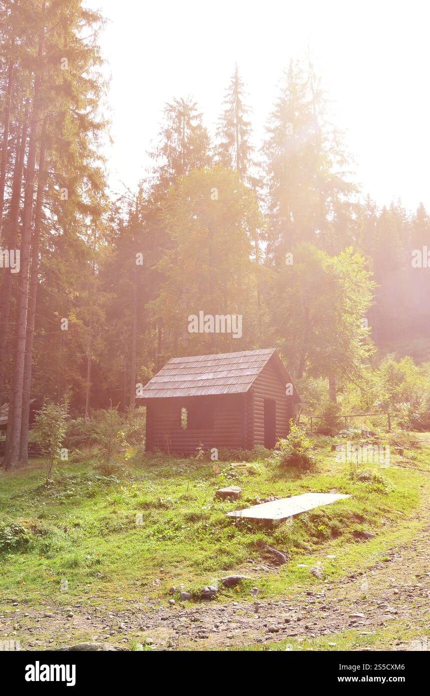 Small natural house, which is built of wood. The building is located in ...