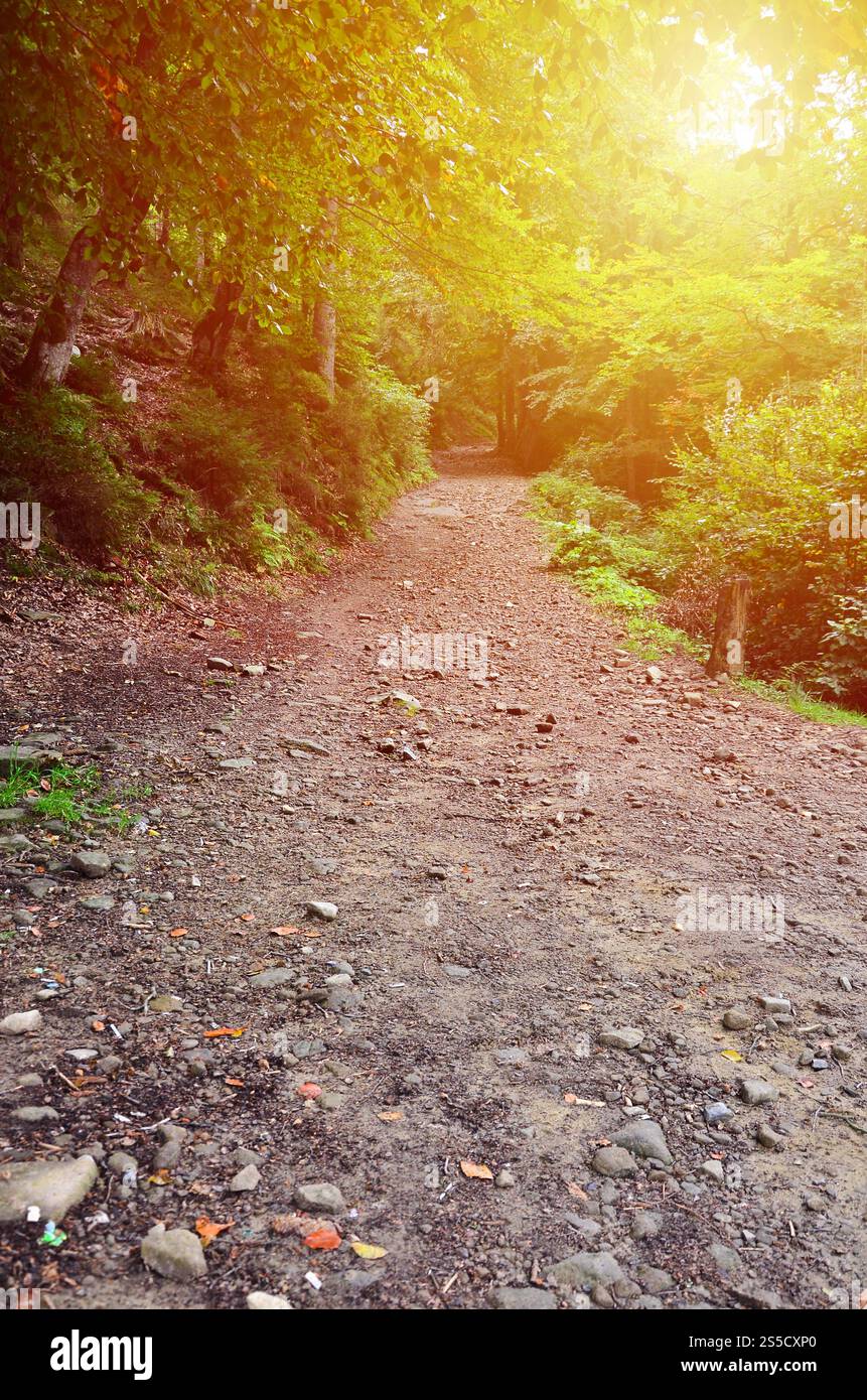 Path in landscape road hi-res stock photography and images - Alamy