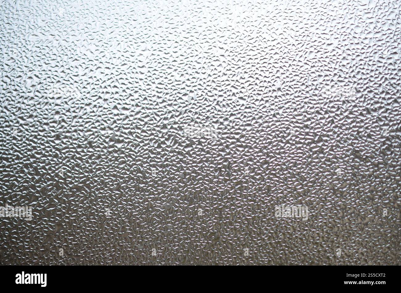 A photo of the glass surface of the window, covered with a multitude of ...