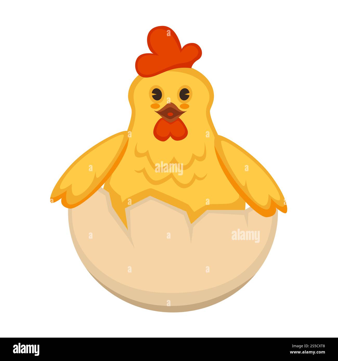 Cute newborn chicken in half of egg shell. Friendly chubby hen with ...