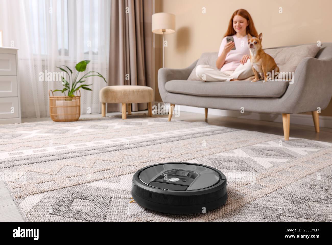 Teenage girl with smartphone and her cute Chihuahua dog at home, focus ...
