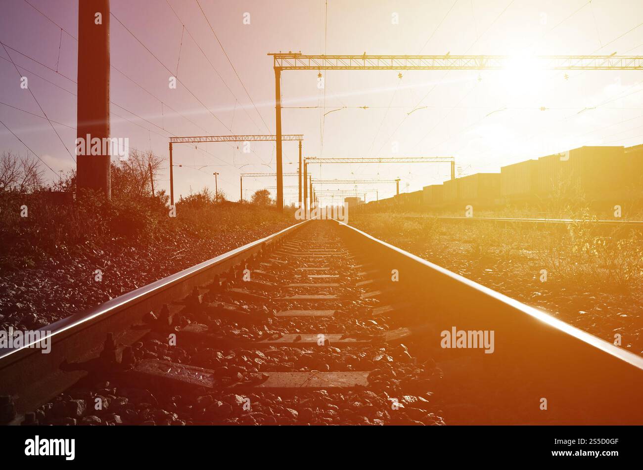 Railway landscape. Many railroad cars and tanks standing in rails ...