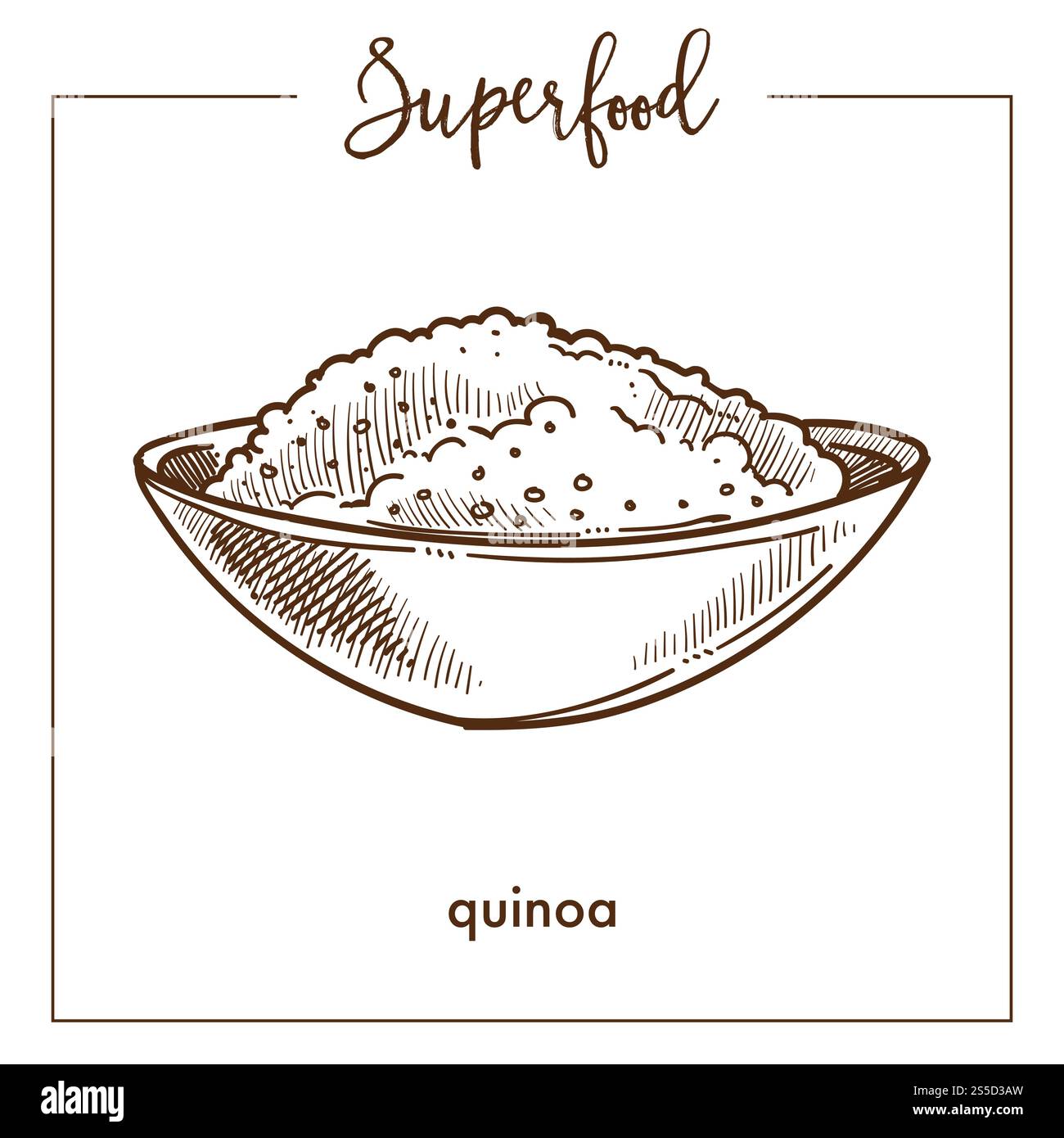 Quinoa cereal in deep bowl monochrome superfood sketch. Delicious and ...