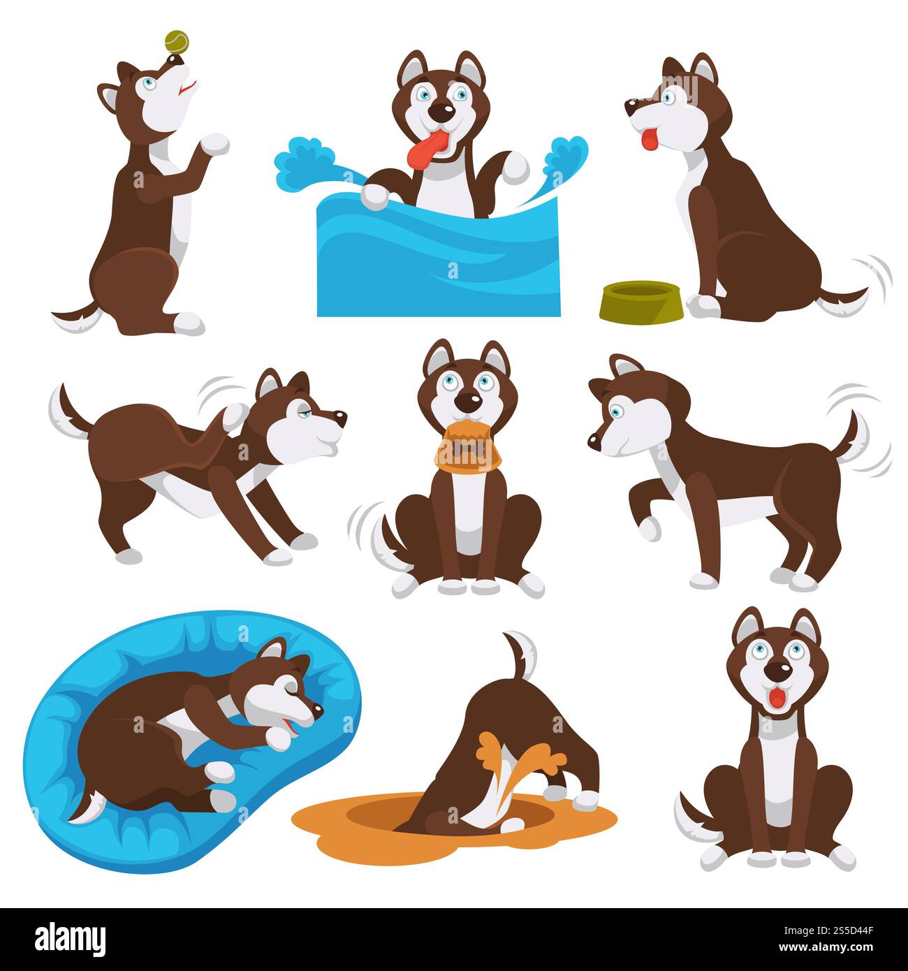 Dog breeds cartoon pet animals vector set of chihuahua hi-res stock ...
