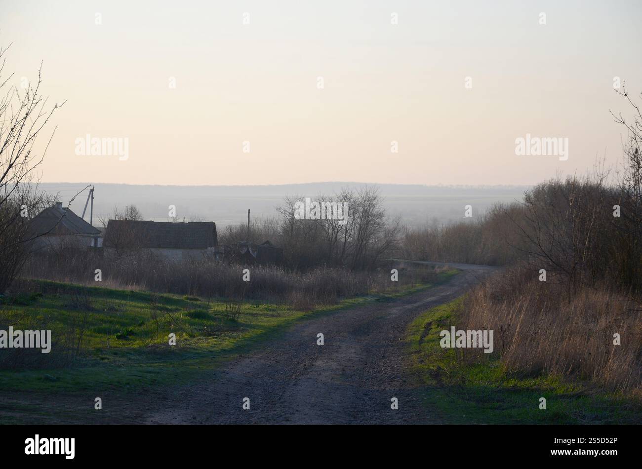 Dawn in the village. Asphalt road, leaving far into the distance among ...
