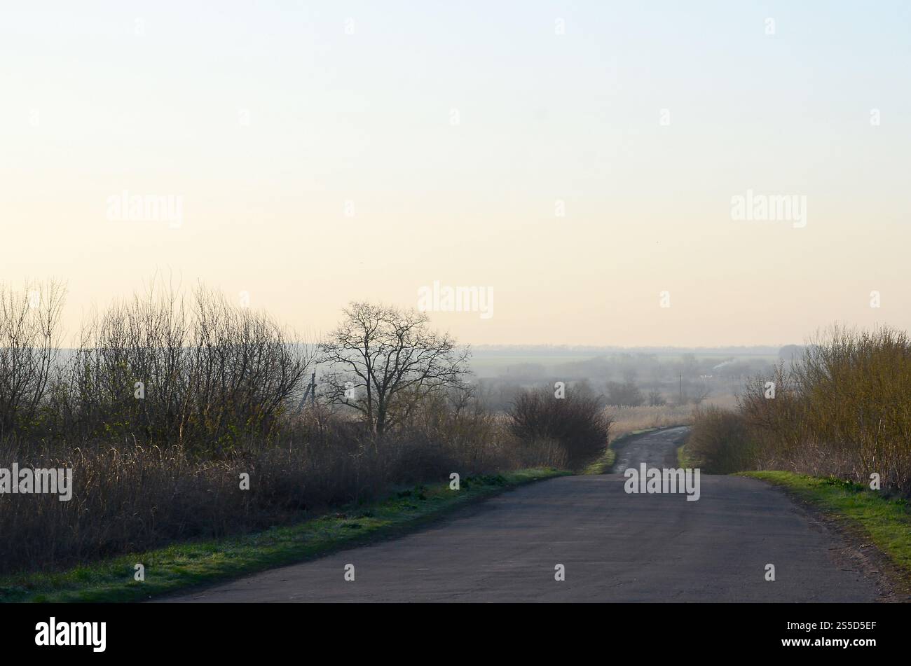Dawn in the village. Asphalt road, leaving far into the distance among ...