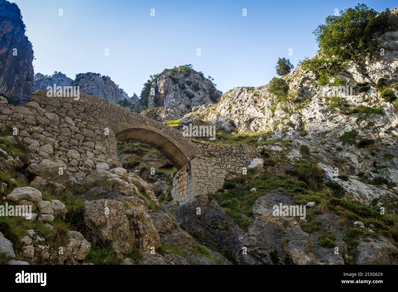 Old stone bridge near Bulnes village in Picos de Europa, Asturias ...