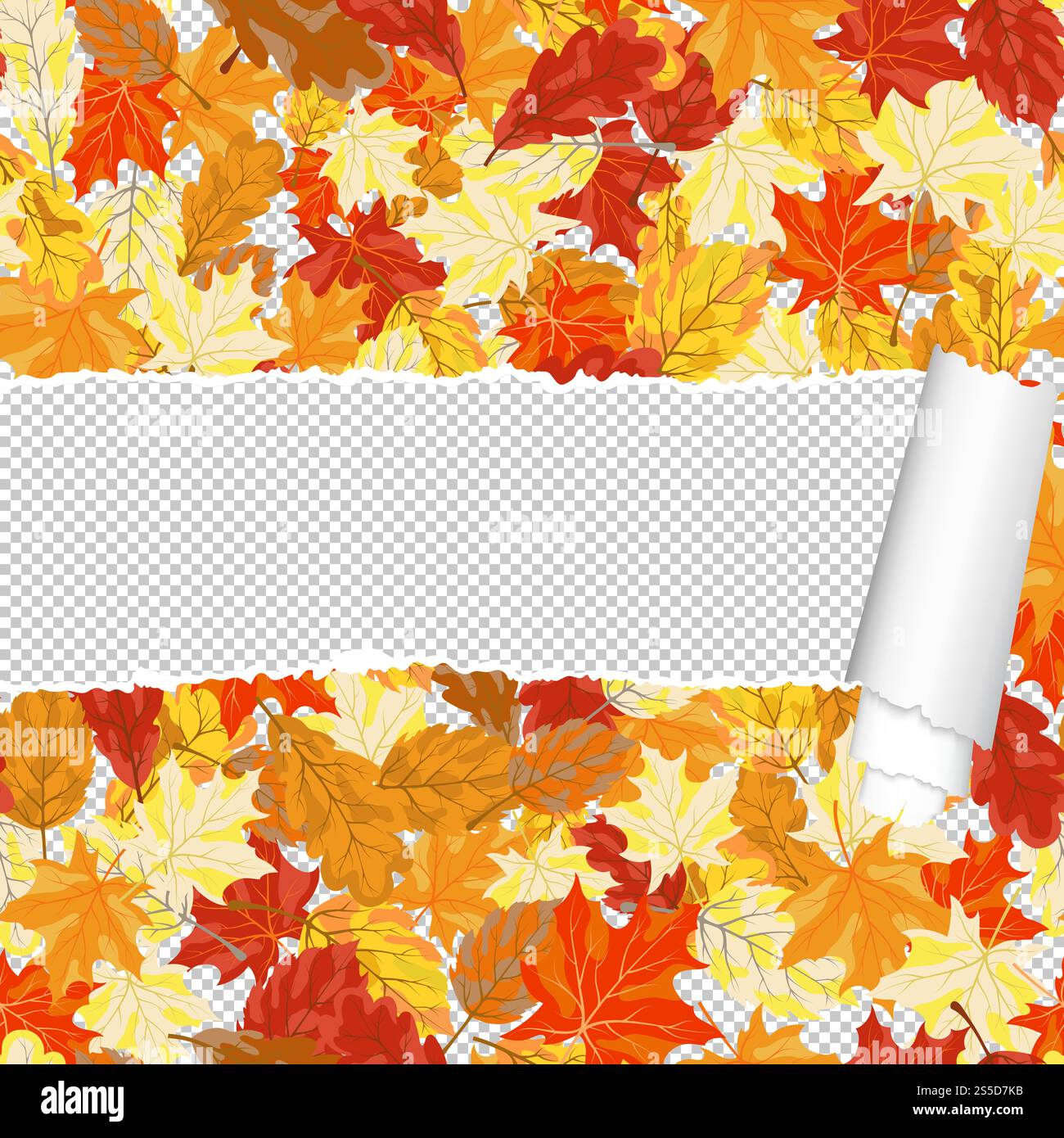 Autumn Maple Seamless Pattern With Ripped Stripe. Transparency Grid ...