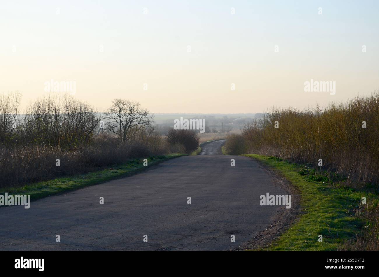 Dawn in the village. Asphalt road, leaving far into the distance among ...
