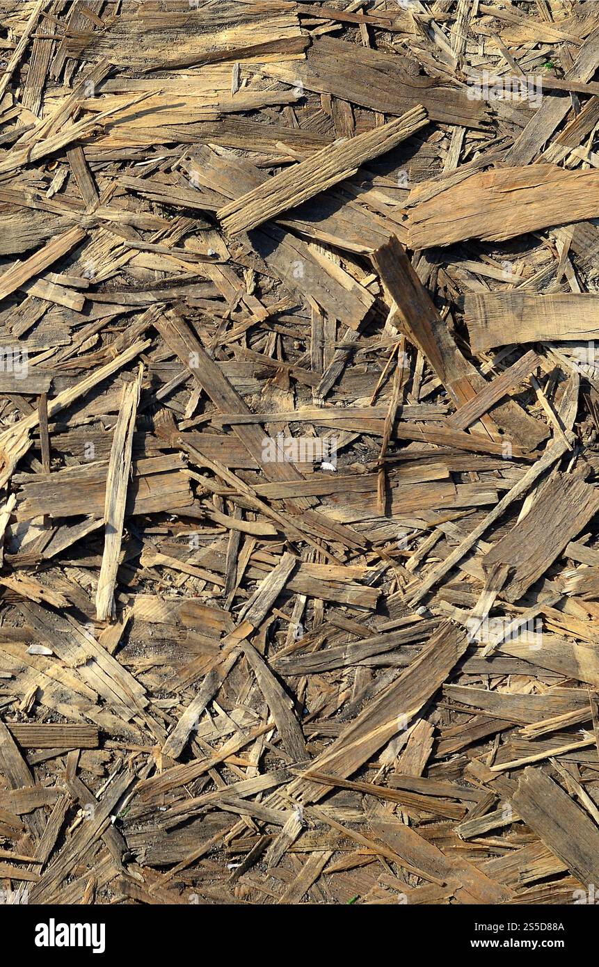 Old OSB boards are made of brown wood chips sanded into a wooden ...