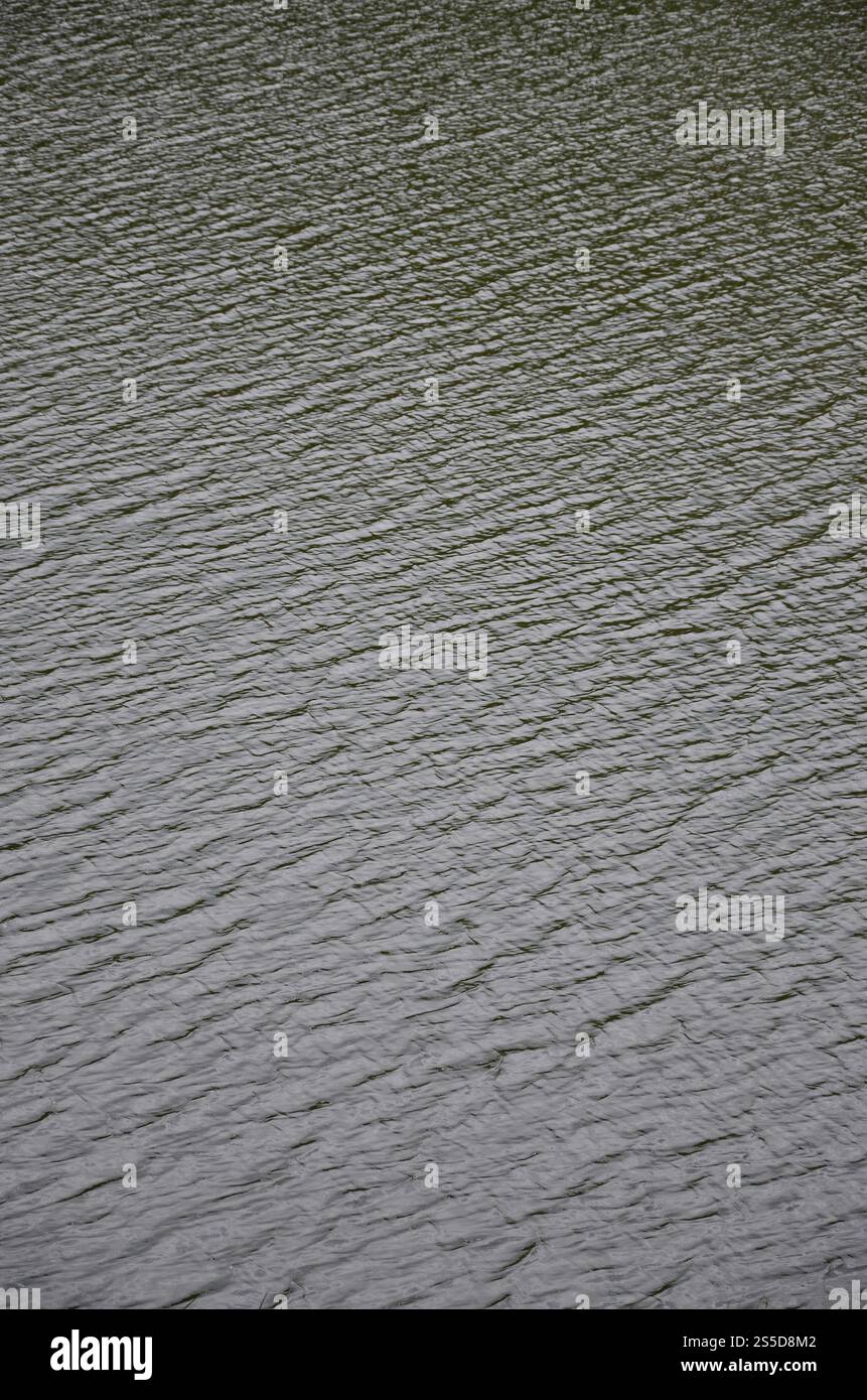 The texture of dark river water under the influence of wind, imprinted ...