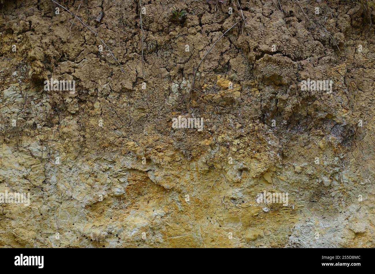 Texture of a wall of solid yellow and brown sand in a sandy quarry ...