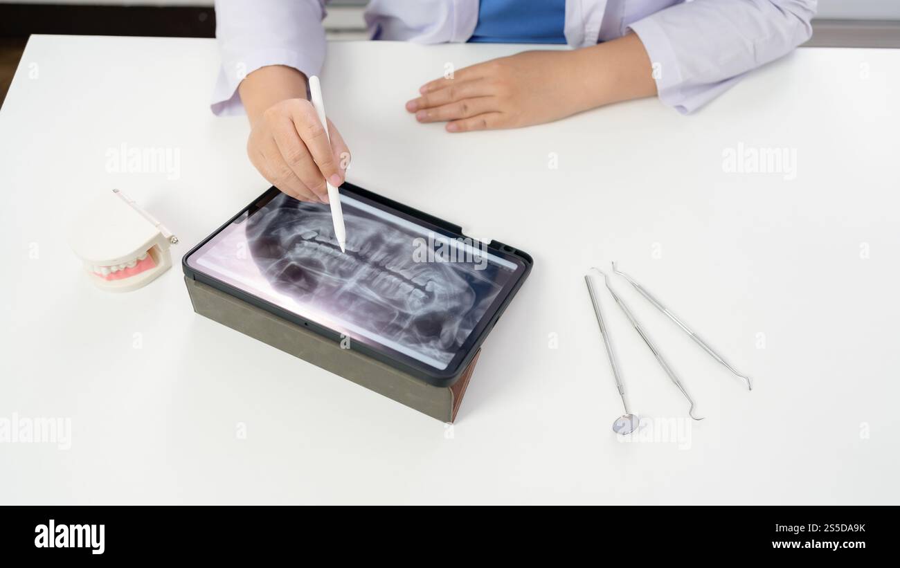 Dentist at dental clinic White healthy tooth with Dental model in oral ...