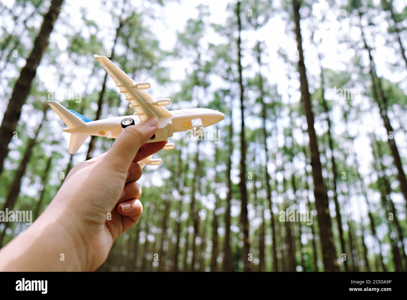 Dreams of journey. hand holding airplane toy model. Plane taking flight ...