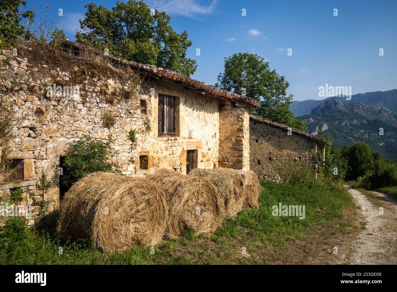 Old traditional farm in picos de europa hi-res stock photography and ...