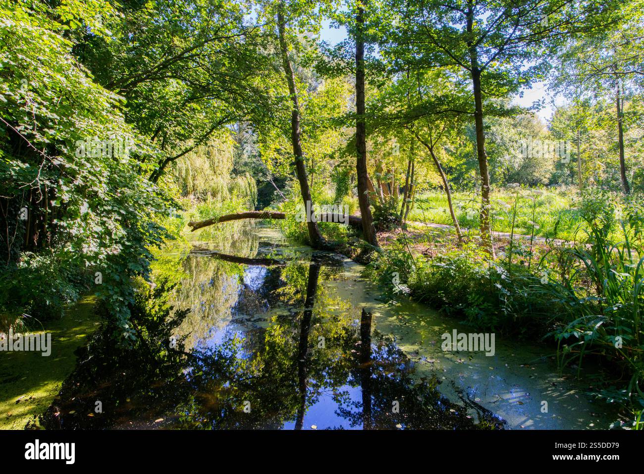 Heme garden at Kralingen Forrest Kralingen Forrest, Rotterdam ...